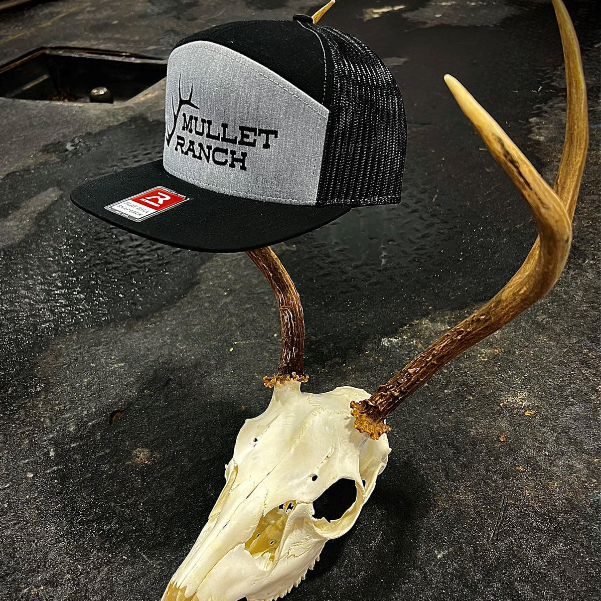 Shed Head – mulletranch